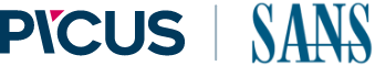 Picus Security - The Pioneer of Breach & Attack Simulation